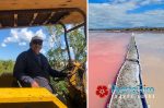 Las Salinas / Salt Flats - Cabo Rojo, Puerto Rico "Pink Beach" - 2024 Guide