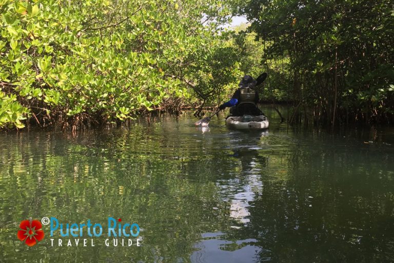 Lajas Puerto Rico - Best Things to Do, Tours & Travel Guide - 2024 ...