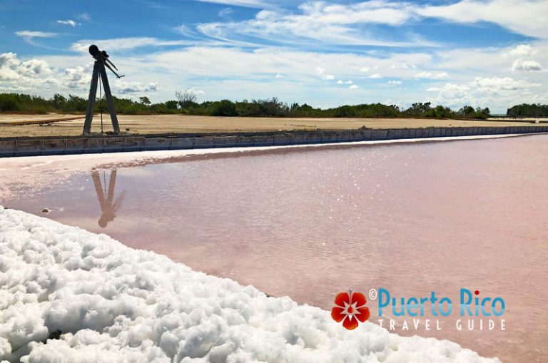 Las Salinas / Salt Flats - Cabo Rojo, Puerto Rico "Pink Beach" - 2024 Guide
