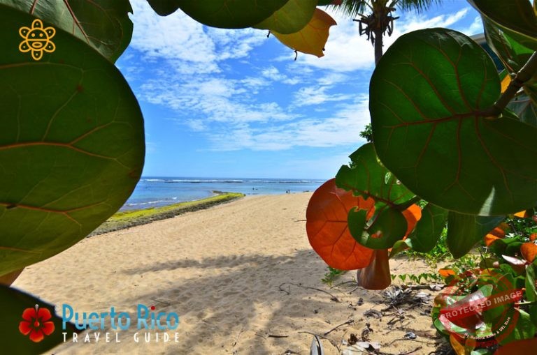 Shacks Beach - Isabela, Puerto Rico - 2024 Beach Guide - Snorkeling ...