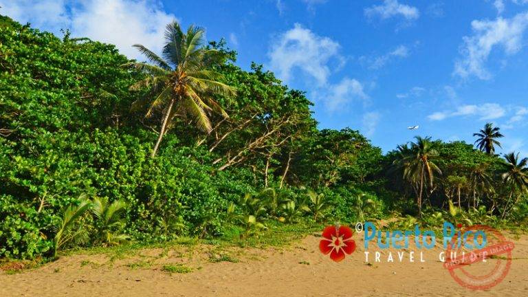 Punta Borinquen Beach - Aguadilla, Puerto Rico - 2024 Guide - Best ...
