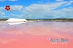 Las Salinas / Salt Flats - Cabo Rojo, Puerto Rico "Pink Beach" - 2024 Guide