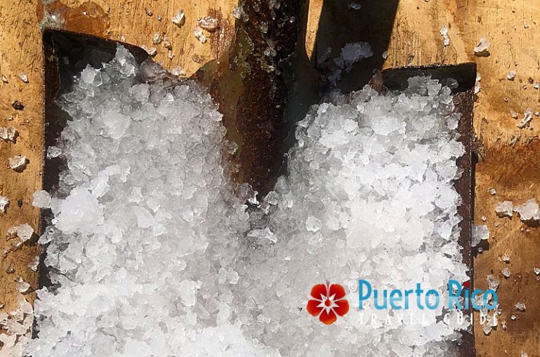 Las Salinas / Salt Flats - Cabo Rojo, Puerto Rico "Pink Beach" - 2024 Guide